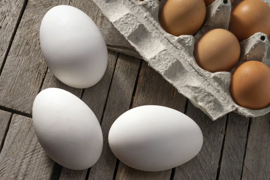 Cinco consejos para la conservación y el consumo de huevos - Esta Todo Bien